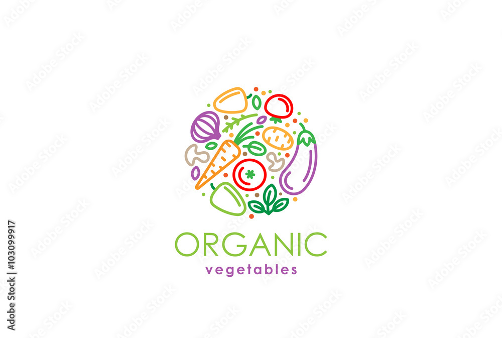 Healthy Organic eco vegetarian food Logo fresh farm vegetables Stock ...