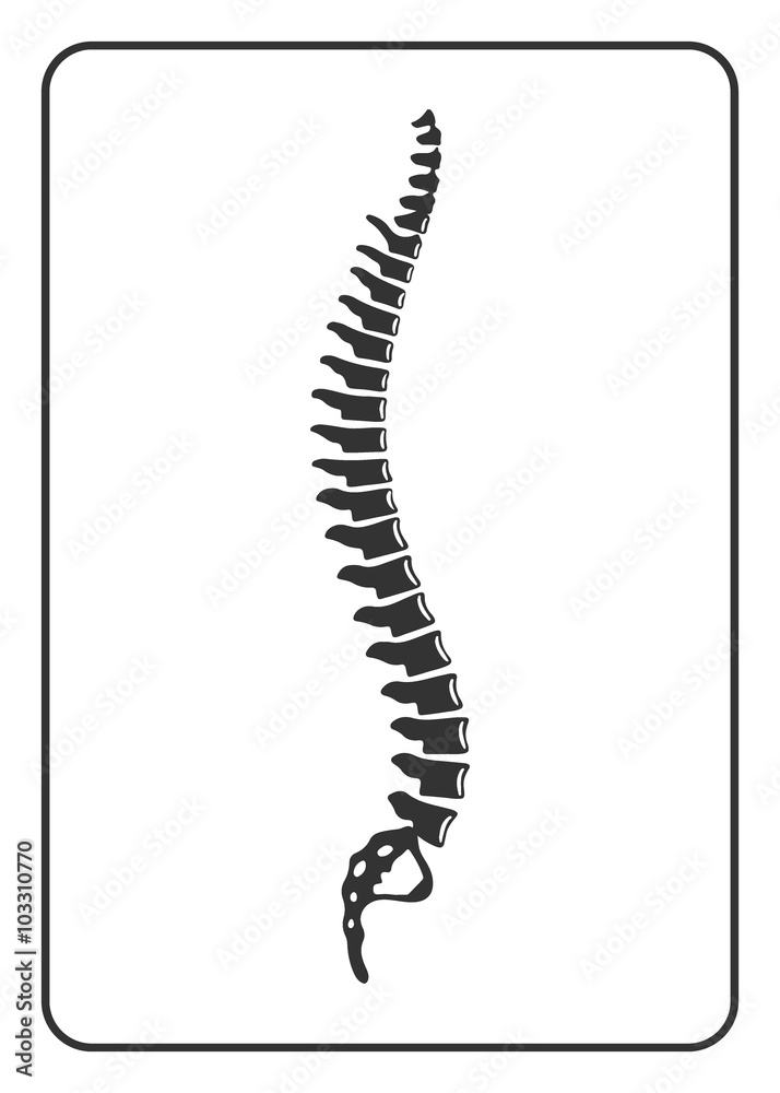 Human spine sign. Black silhouette icon isolated on white background ...
