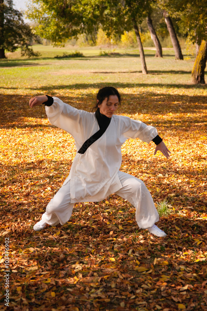 Kung Fu snake form. Woman in traditional Wu Dang uniform practicing ...