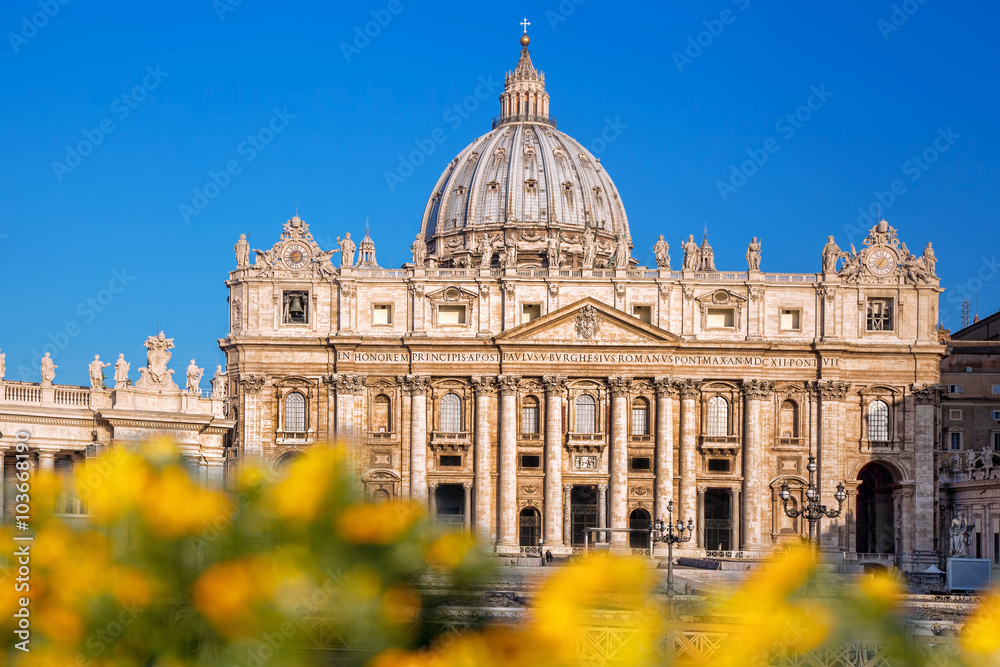 Foto de Stock Basilica of Saint Peter in the Vatican with spring ...