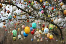 Easter Egg Tree Free Stock Photo - Public Domain Pictures