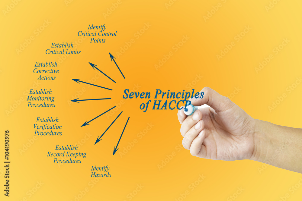 Woman hand pointing element of HACCP principle for business concept and ...