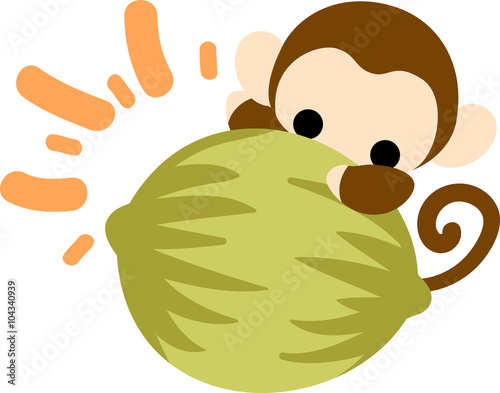 A pretty monkey and a big coconut Vecteur Stock | Adobe Stock