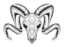 Steampunk Ram Skull Free Stock Photo - Public Domain Pictures