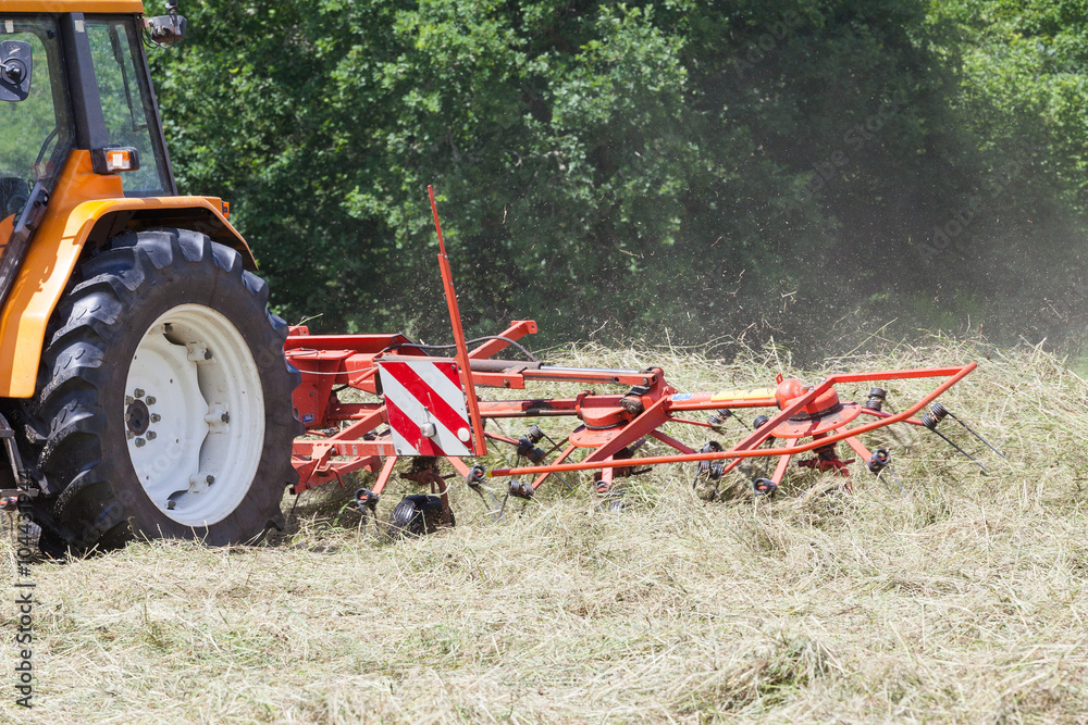 Rotary hay rake turning dried pasture grass for baling for hay to be ...