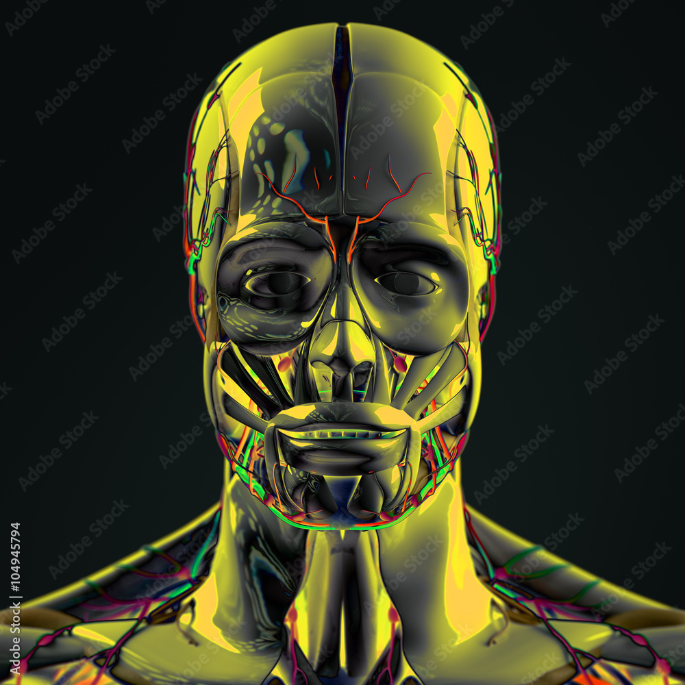 Human anatomy 3D futuristic technology scan. Head and face. Vibrant ...