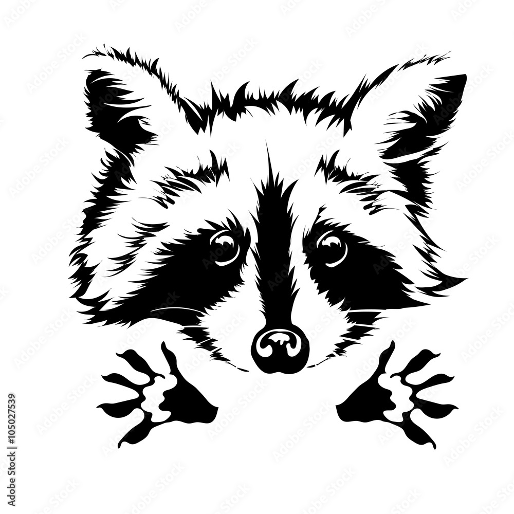 vector hug raccoon 2 Stock Vector | Adobe Stock