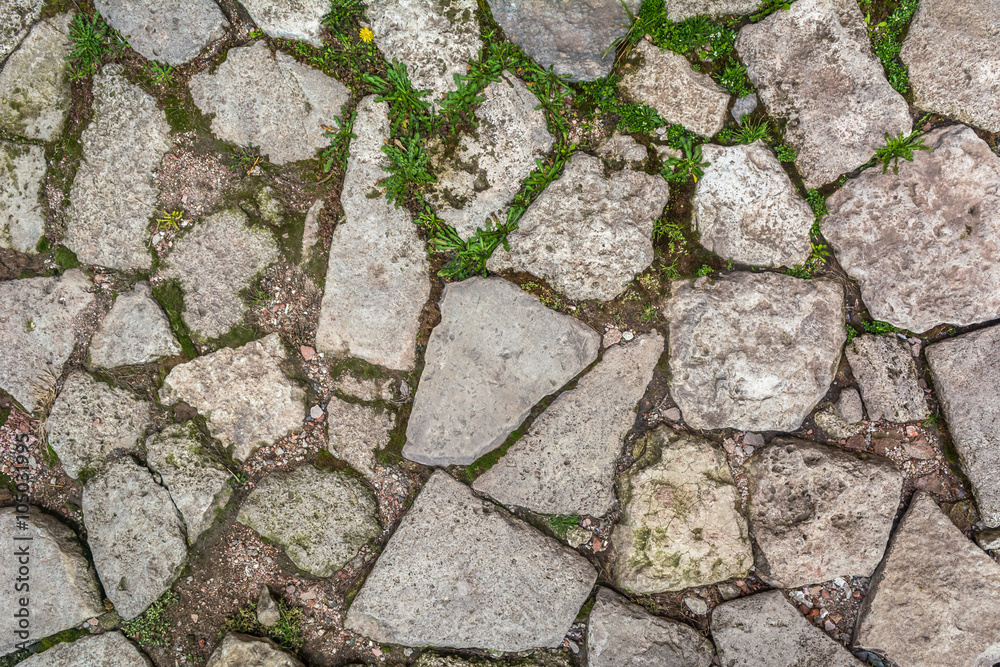 cobblestone with grass texture , stone path with grass texture ...