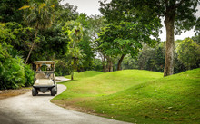 Golf Cart Path On Course Free Stock Photo - Public Domain Pictures