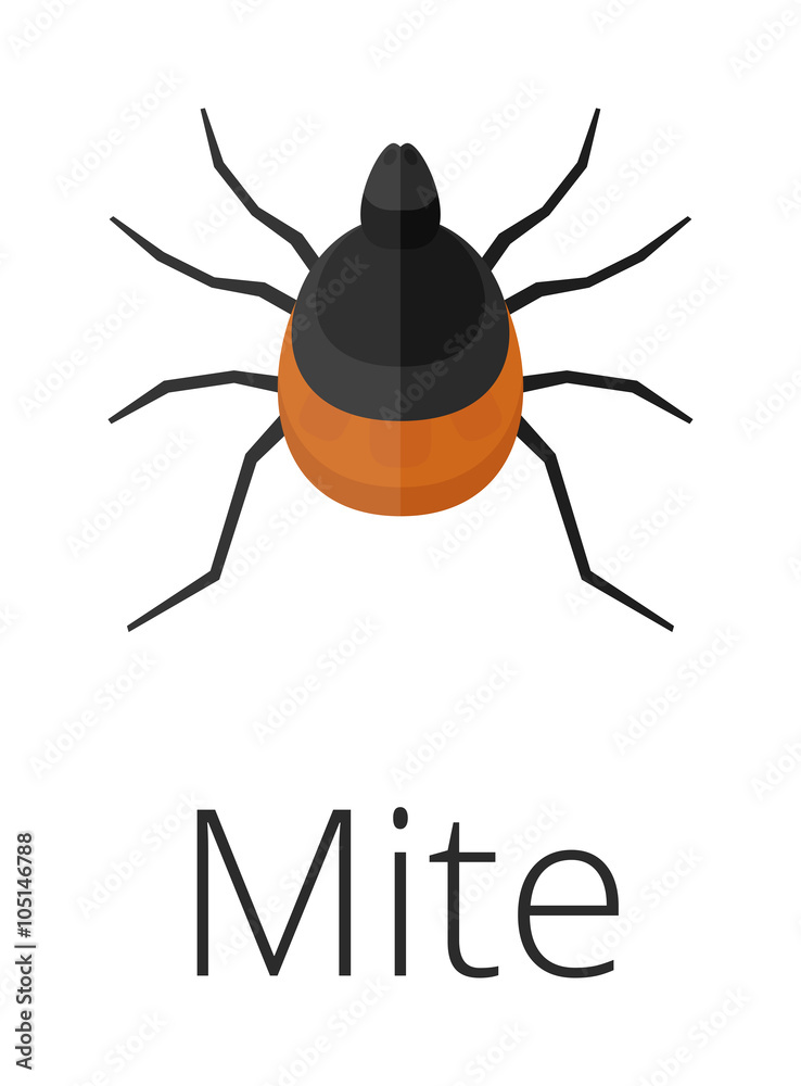 Mite skin parasite vector illustration Stock Vector | Adobe Stock