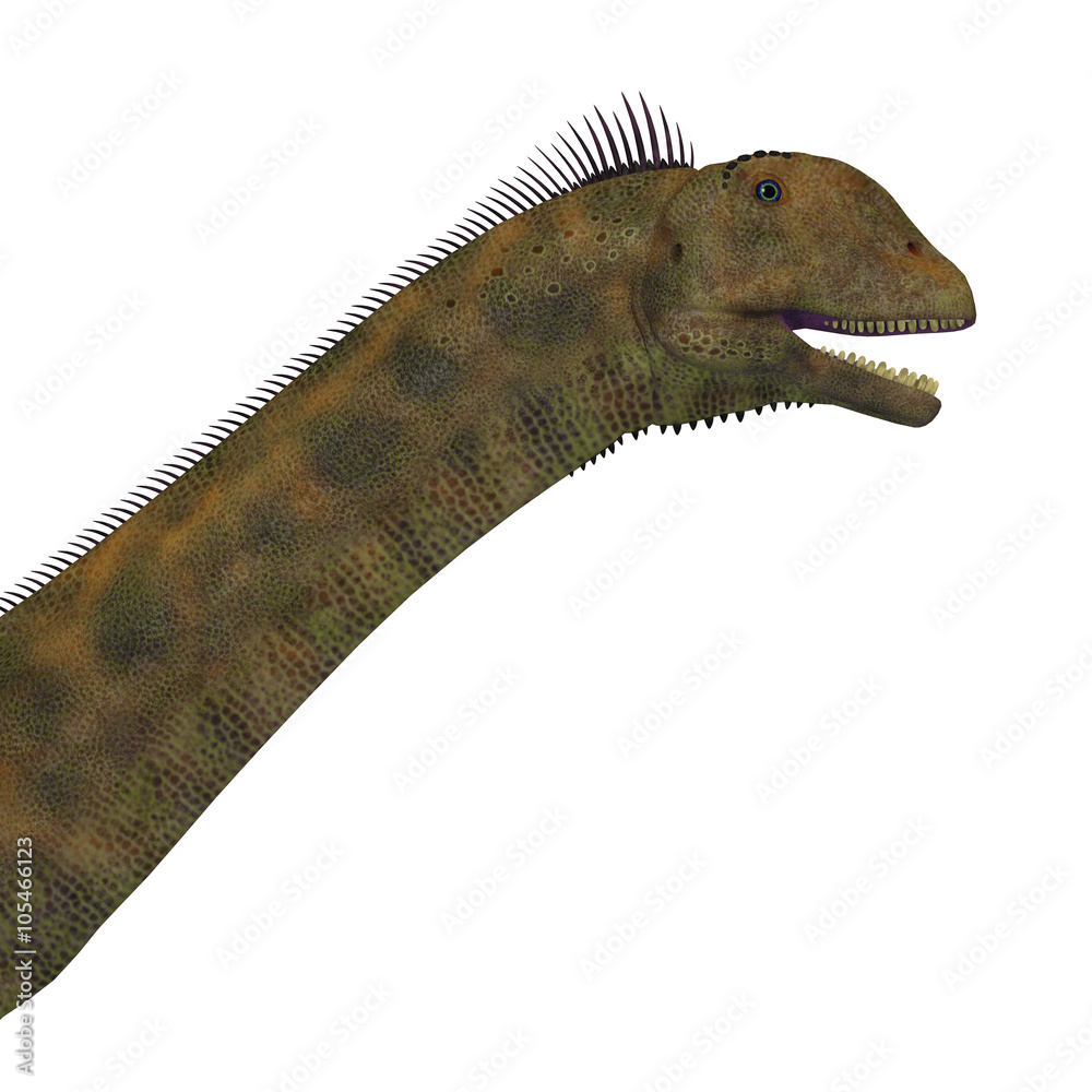 Atlasaurus Dinosaur Head - Atlasaurus was a large herbivorous dinosaur ...