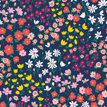 Bright Flower Pattern Free Stock Photo - Public Domain Pictures