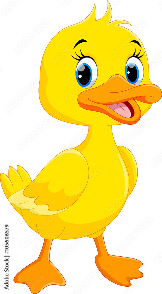 Eendje Cartoon Afbeeldingen Over Duck Cartoon – Blader In