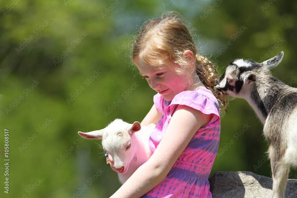 Girl and Her Beloved Baby Goats Stock Photo | Adobe Stock