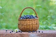 Blueberry Basket Free Stock Photo - Public Domain Pictures
