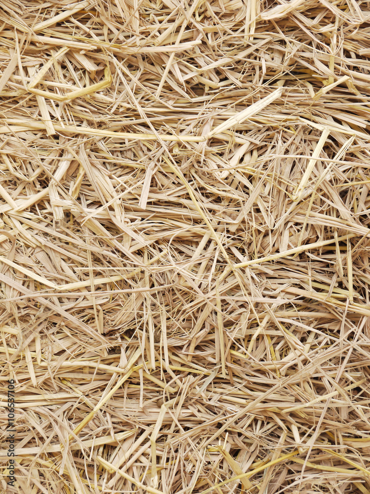 Hay background as a front view of a bale of hay as an agriculture farm ...