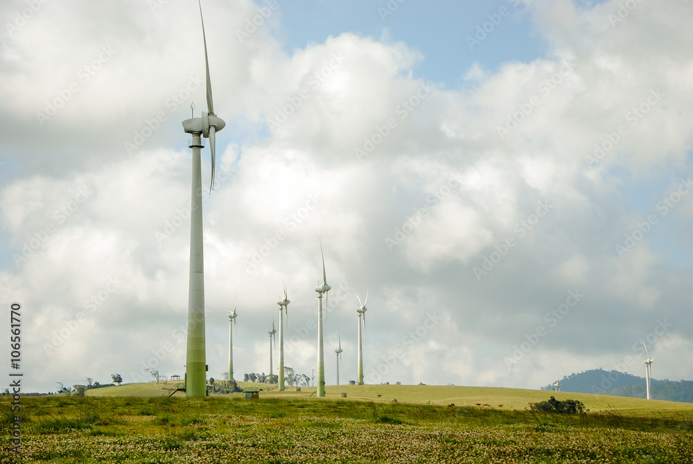 Wind turbines at Windy Hill Wind Farm power station on the Atherton ...