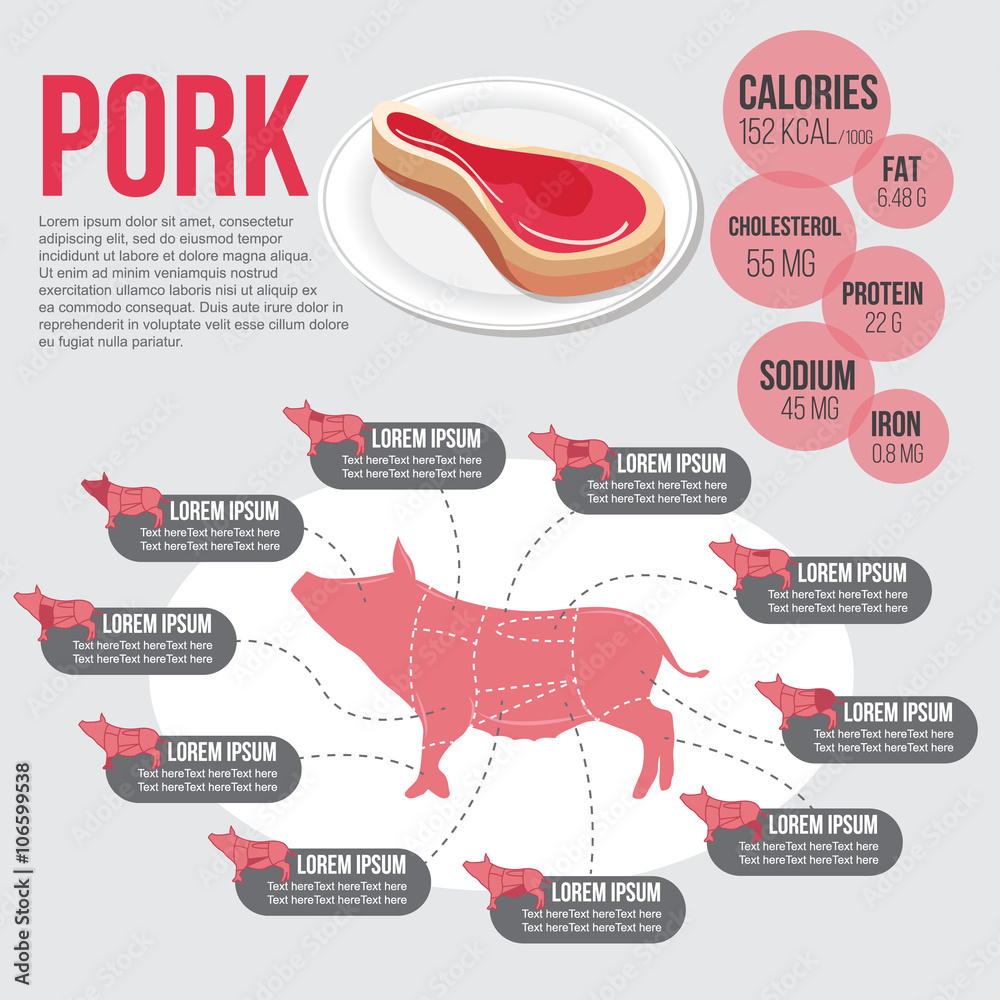 infographic for Parts of the body pig and nutrition pork Stock Vector ...