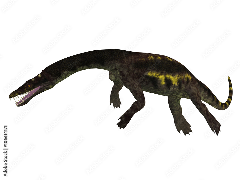 Stock-Illustration „Nothosaurus Side Profile - Nothosaurus was a semi ...