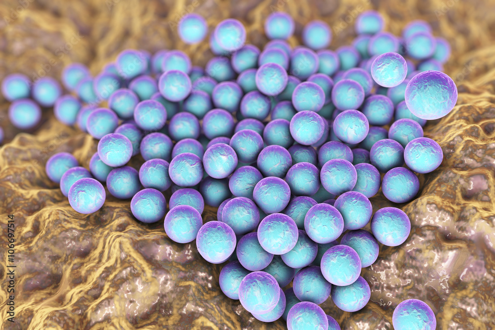 Ilustración de Stock Bacteria Staphylococcus aureus on the surface of ...