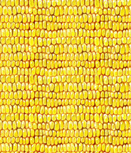Seamless Corn Kernel Background Free Stock Photo - Public Domain Pictures