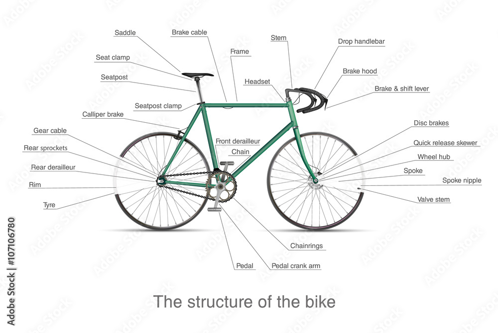 Infographic of the structure of bike Stock Vector | Adobe Stock
