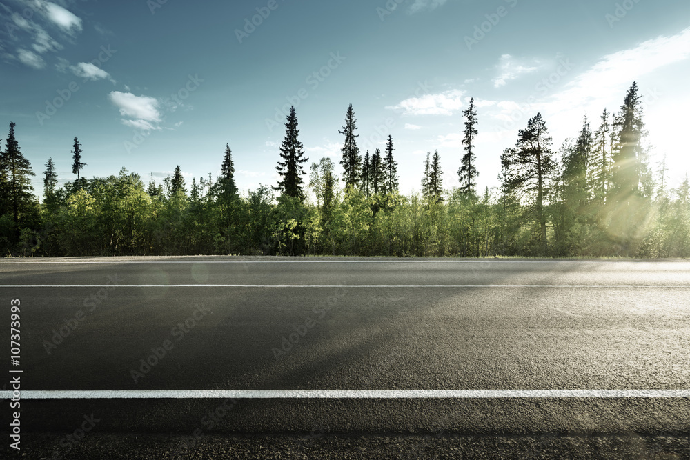 asphalt road in forest Stock Photo | Adobe Stock