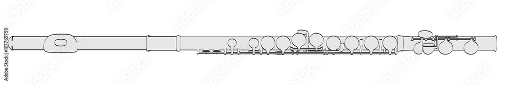 2d cartoon illustration of flute Stock Illustration | Adobe Stock