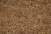 Tumbleweed Texture 1 Free Stock Photo - Public Domain Pictures