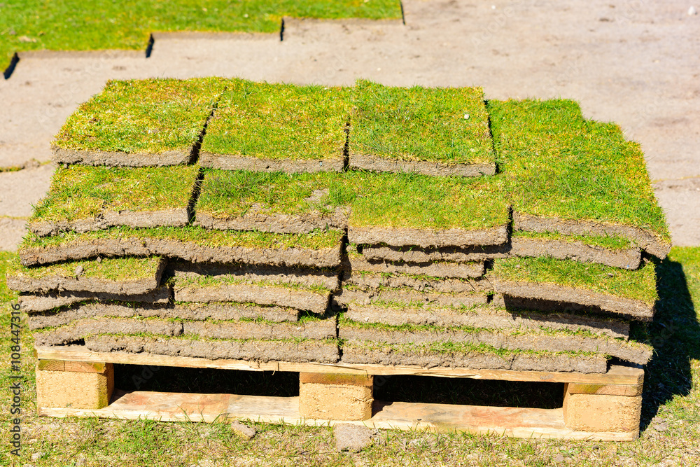 Grass removal from a golf course in spring. Square patches of grass is ...