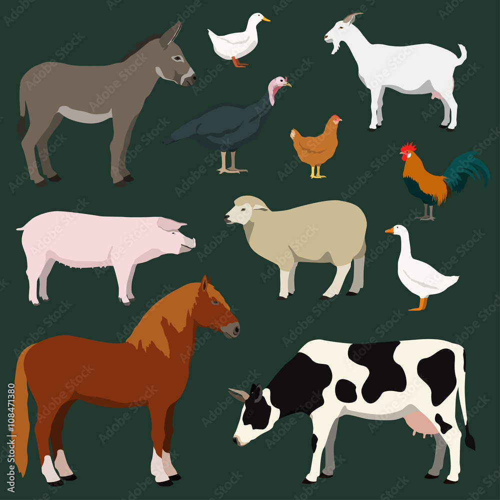 Cartoon farm animals and poultry vector set. Illustration of horse, cow ...