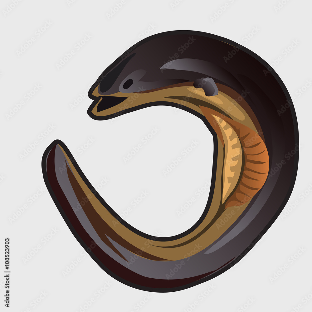 Cartoon fish european eel. Vector illustration Stock Vector | Adobe Stock
