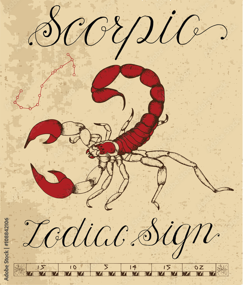 Colorful Zodiac sign of Scorpio with lettering Stock Vector | Adobe Stock
