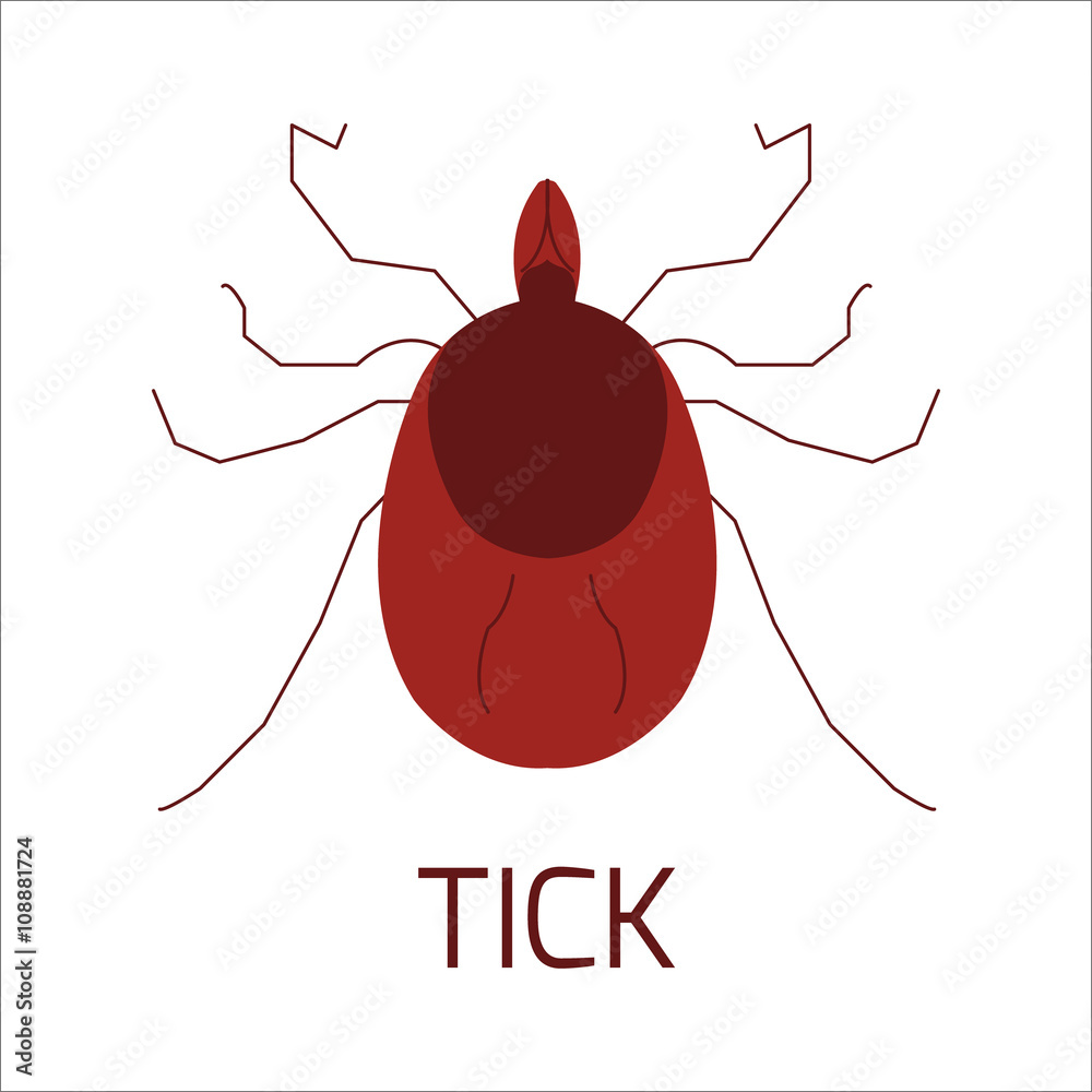 Tick bug icon design template. Mite. Isolated vector illustration. It ...