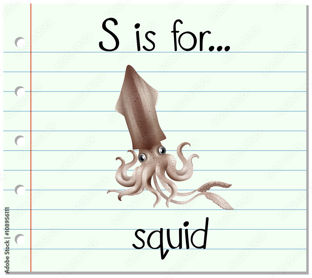 Flashcard letter S is for squid Stock Vector | Adobe Stock