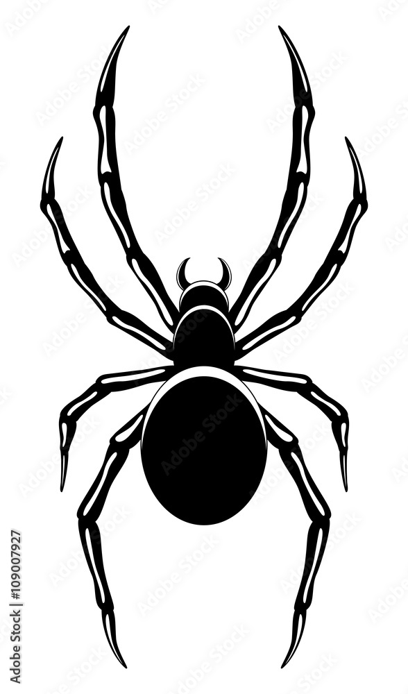 Vector de Stock Black widow spider.Vector isolated. | Adobe Stock