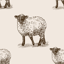 Sheep Vintage Clip Art Illustration Free Stock Photo - Public Domain ...