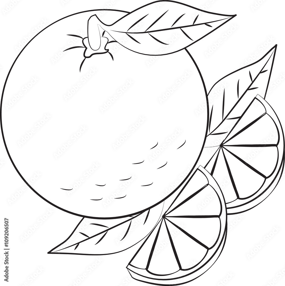Vector de Stock vector orange outline | Adobe Stock