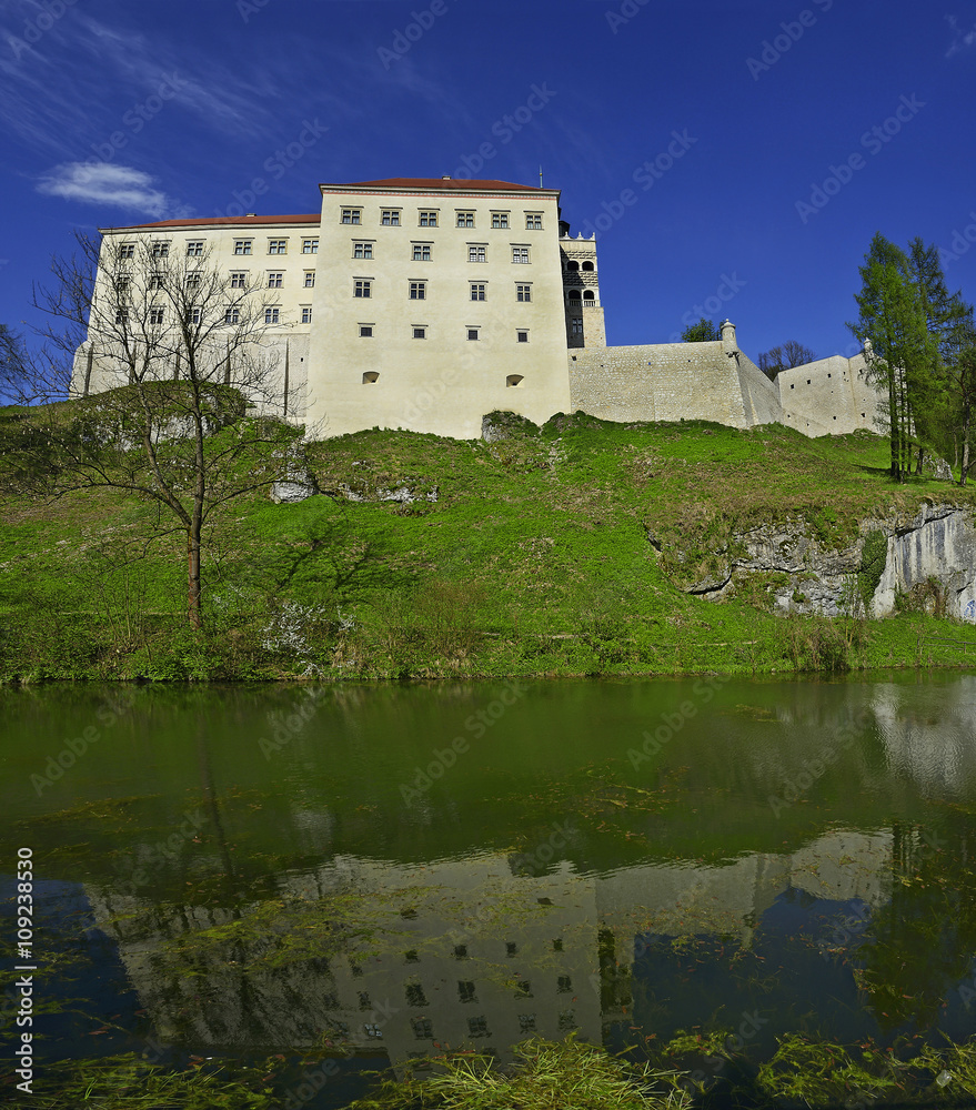 Castle Pieskova Skala (Little Dog's Rock), located a limestone cliff in ...