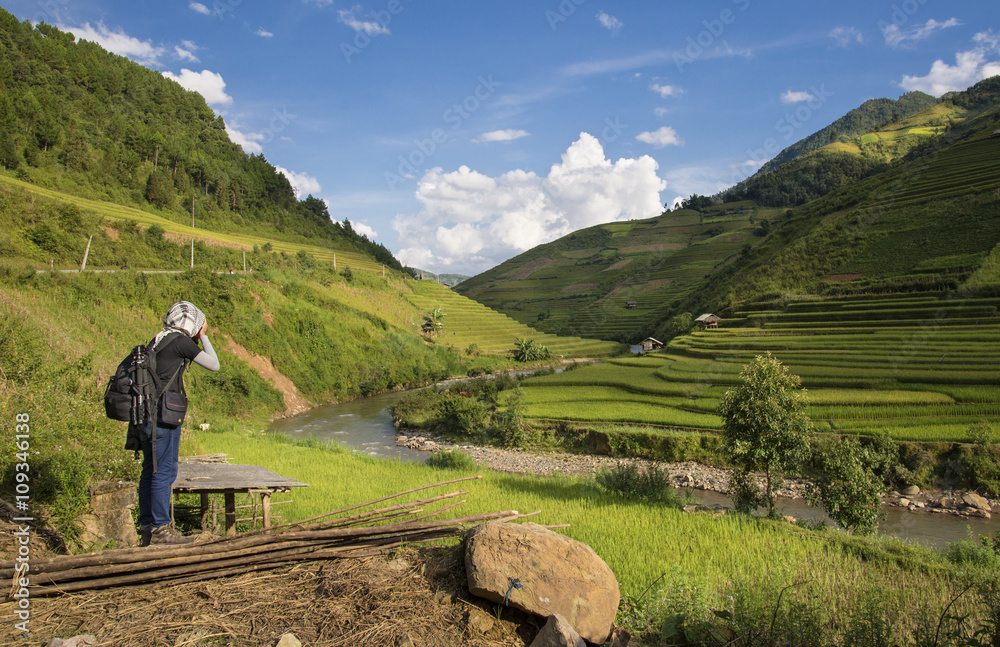 The photographer take the picture beautiful rice paddy field during the ...