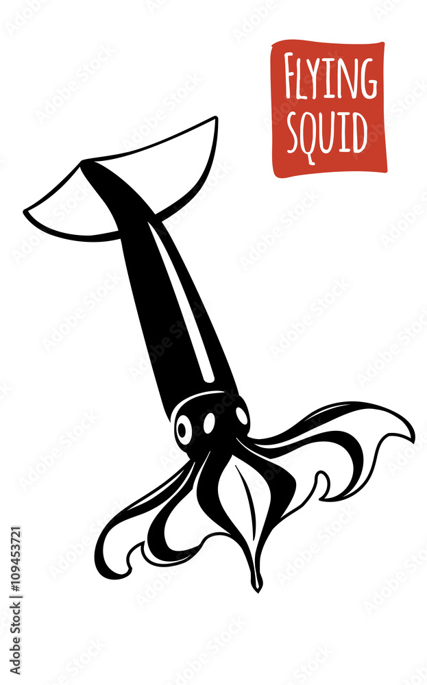 Flying Squid, vector cartoon illustration Stock Vector | Adobe Stock