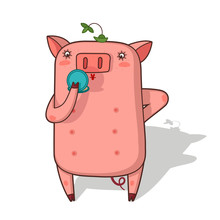 Pig Reflection Free Stock Photo - Public Domain Pictures