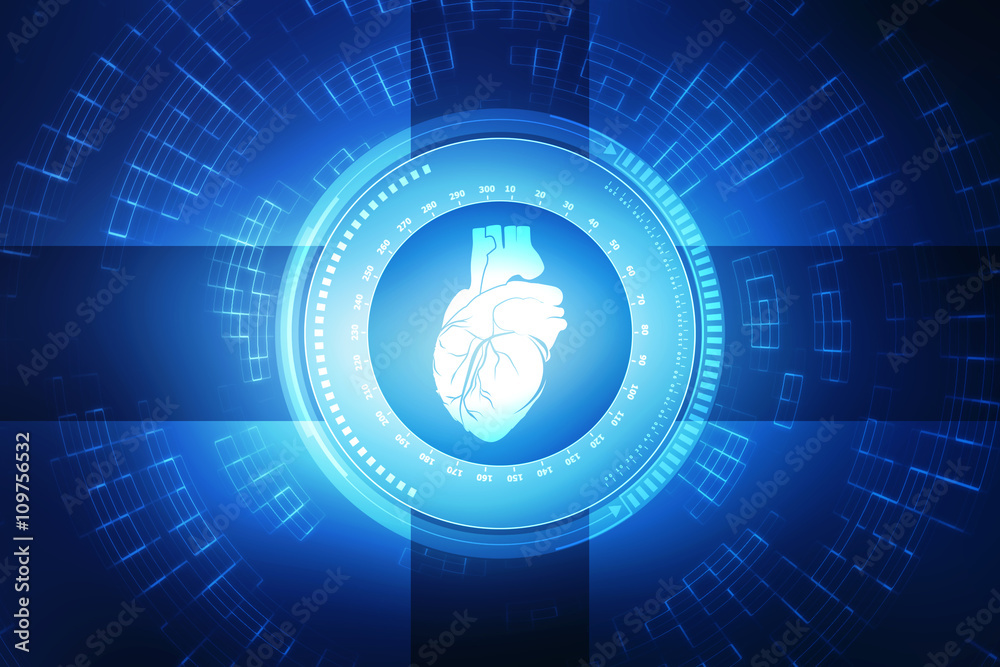 ภาพประกอบ Stock Human Heart - Anatomy of Human Heart | Adobe Stock