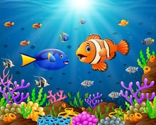 Galleon & Fish Free Stock Photo - Public Domain Pictures