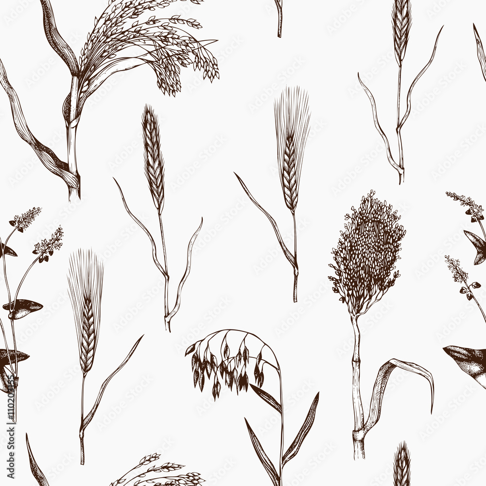 Vector seamless pattern with hand drawn cereal crops sketches. Vintage ...