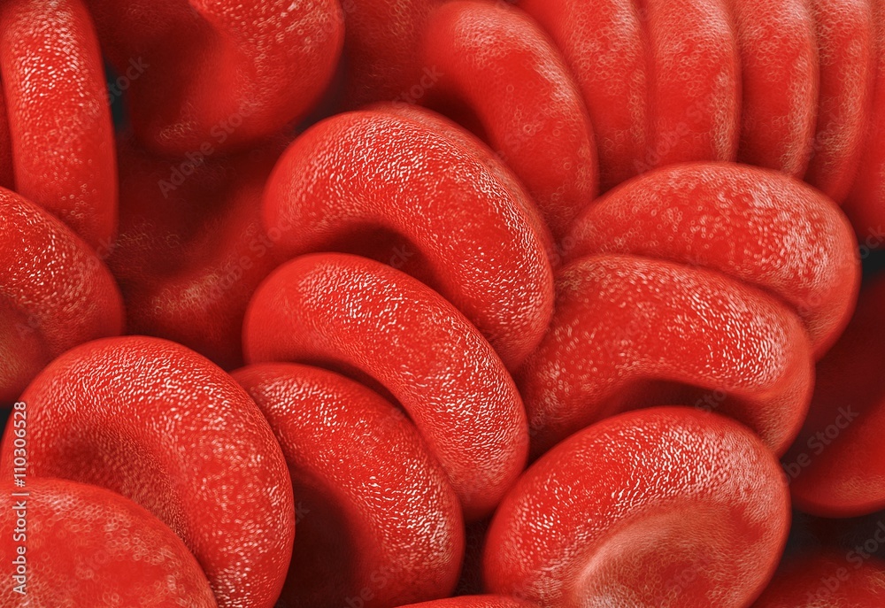 Red blood cells, illustration Stock Photo | Adobe Stock