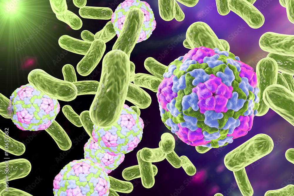Bacteria and viruses (Hepatitis A virus) on colorful background ...