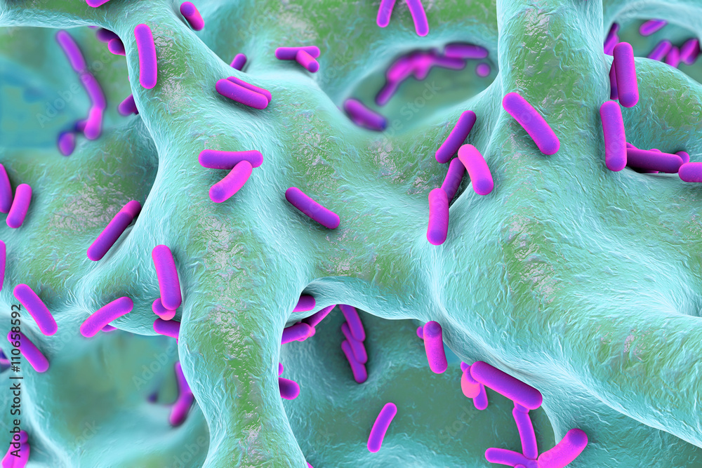 Bacteria inside human body. Rod-shaped bacteria inside bone tissue ...