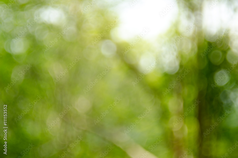 Nature bokeh sun light background. Stock Photo | Adobe Stock