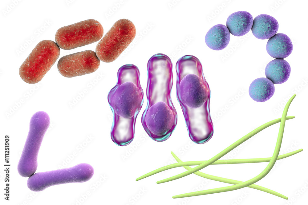 Microbes isolated on white background, 3D illustration. Bacteria of ...
